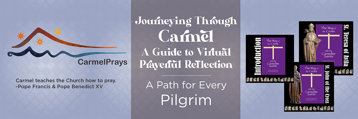 Order of Carmelites – Province of the Most Pure Heart of Mary